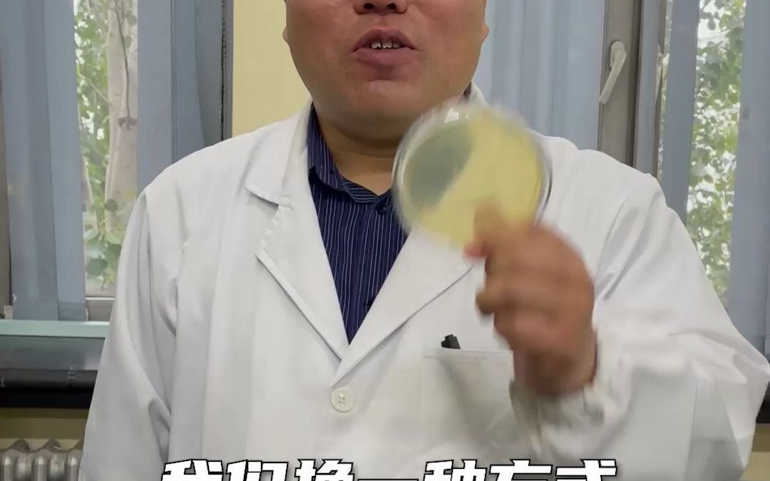 显微镜下的乳酸菌