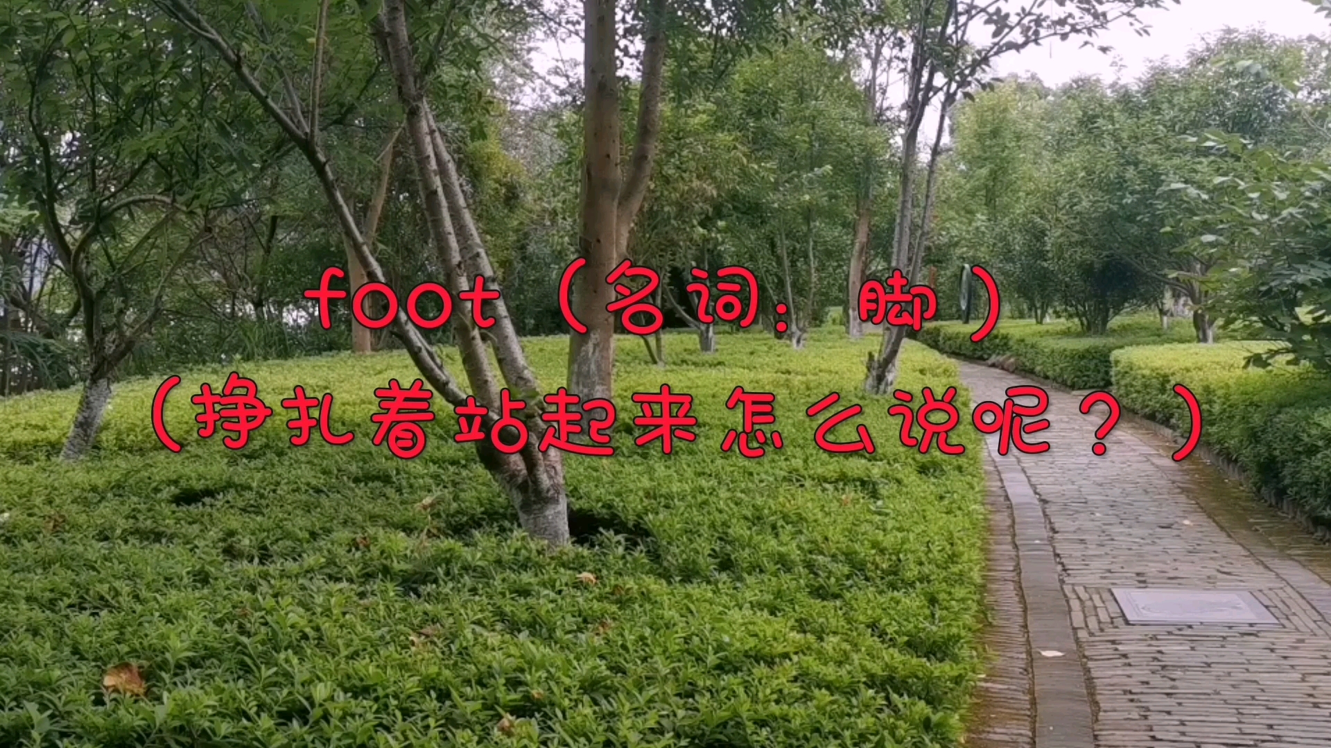 foot(名词:脚)(挣扎着站起来怎么说呢?)
