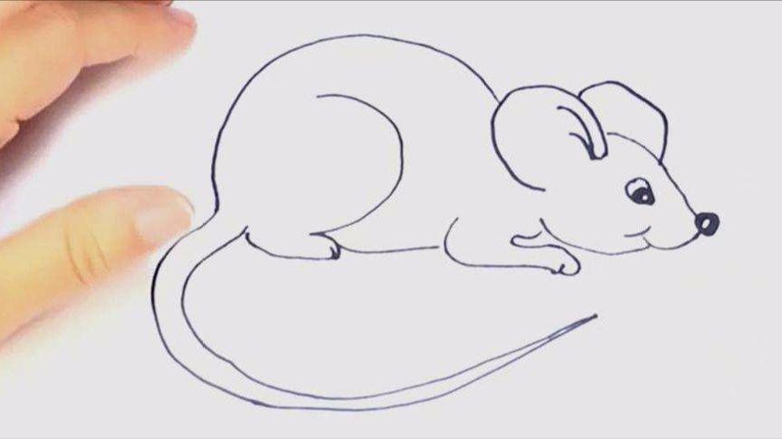 简笔画:一学就会的小老鼠简笔画,你要来试试吗?
