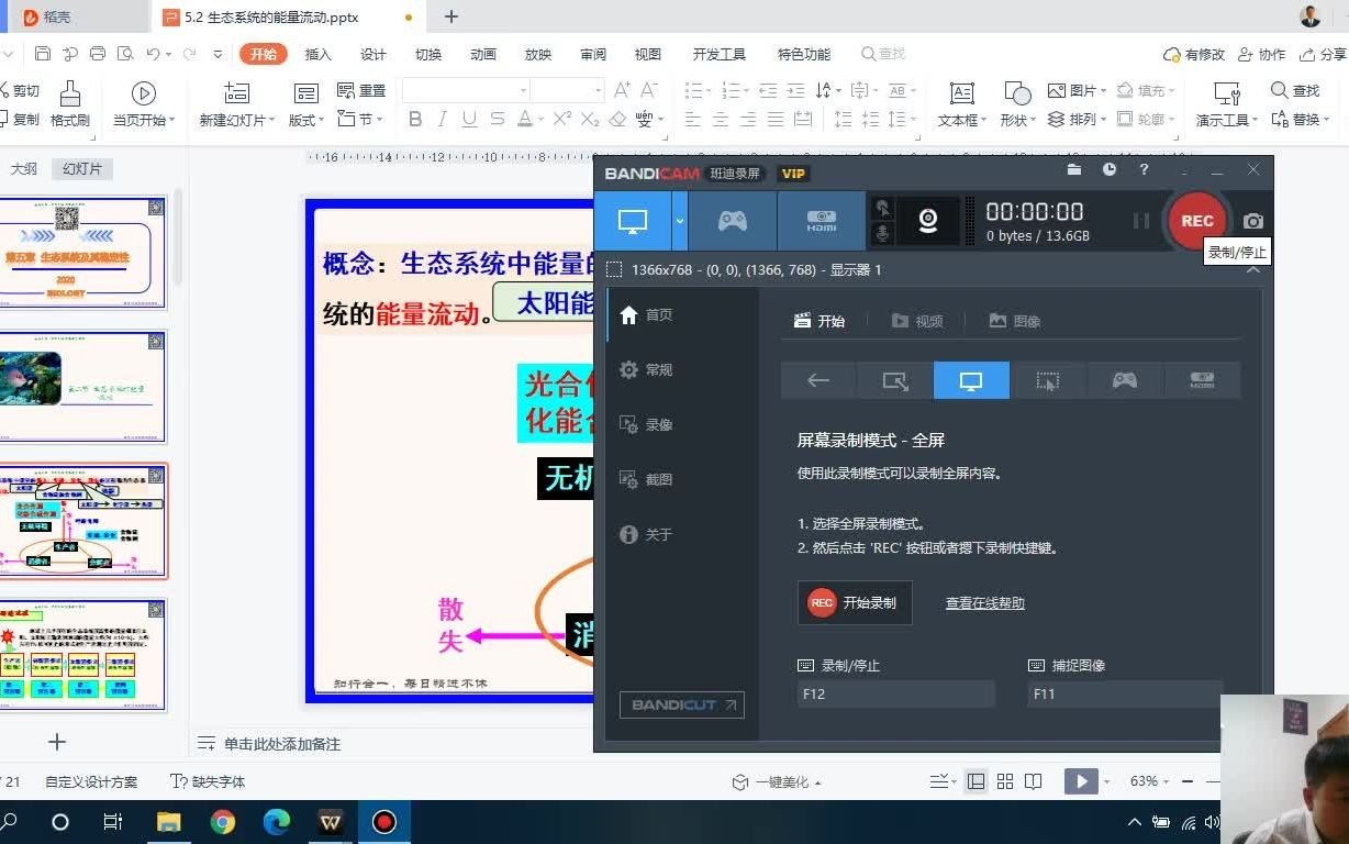 专题 生态系统的能量流动