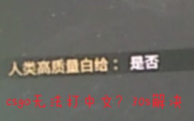[CS:GO]在csgo中如何不换输入法不切系统语言在聊天栏输入汉字