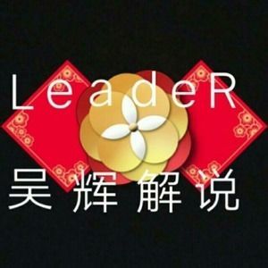 赵辉解说