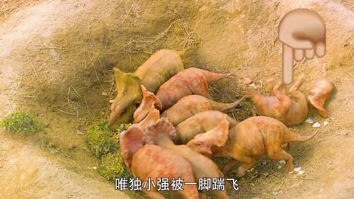 小恐龙从小被欺负,长大后成为了族长,温情励志《与恐龙同行》