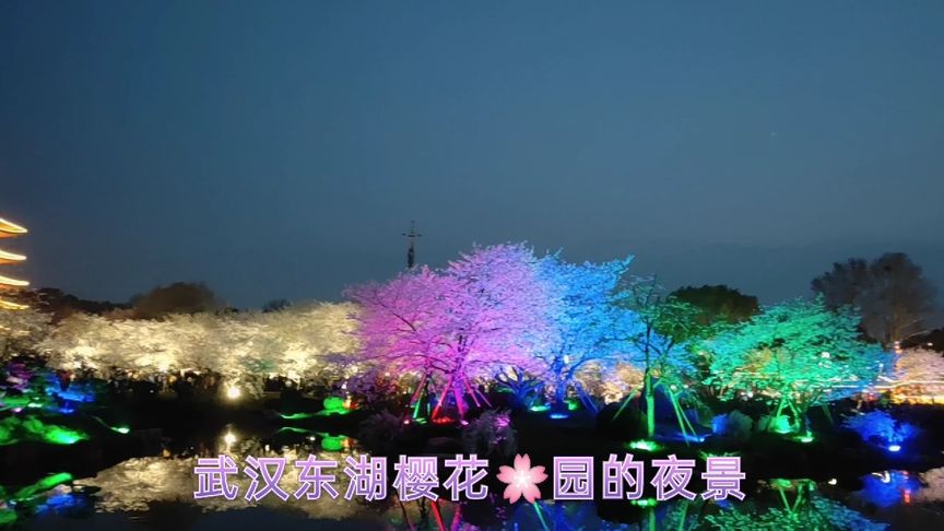 武汉的樱花真是美,难怪很多人不远千里去观赏,一起来看看它的美