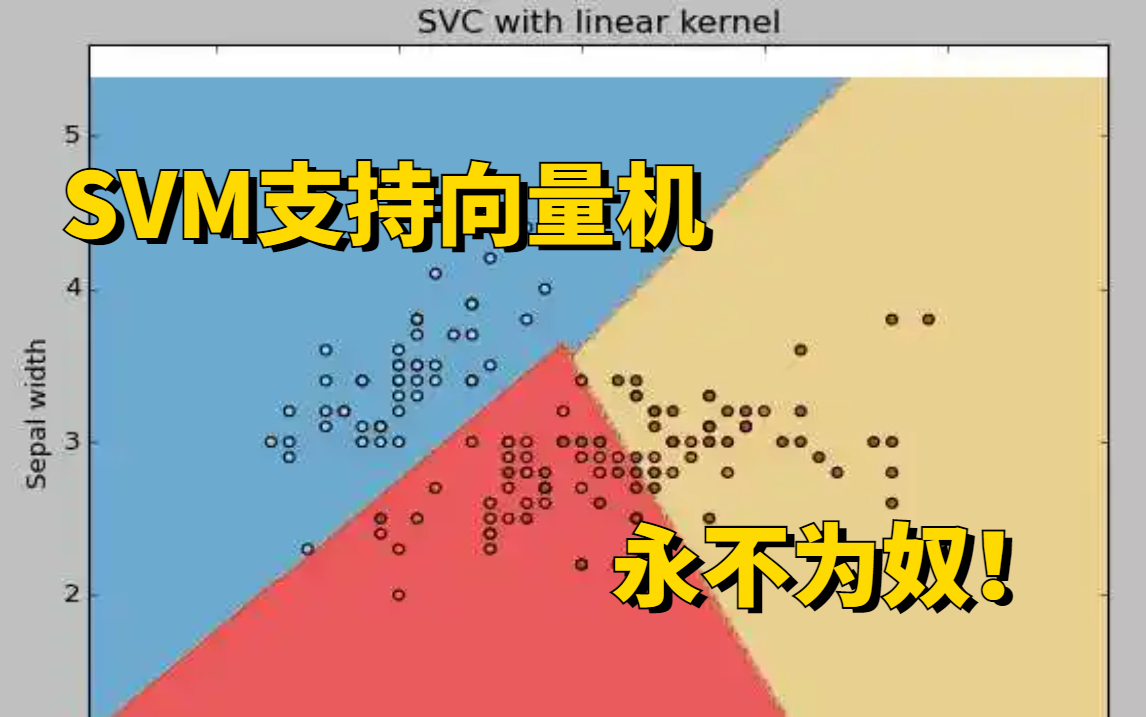 我居然一小时就学会了【SVM支持向量机】,全靠这套清华大佬手把手...