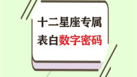 十二星座专属表白数字密码