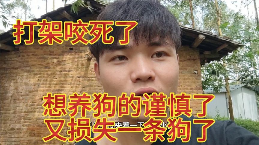 唉,养狗不易啊,想养狗的朋友谨慎点了,打架咬死了一条狗。心烦