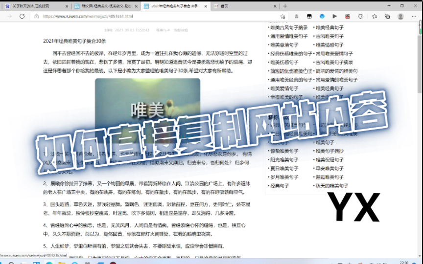 【教程】如何直接复制网站中的内容