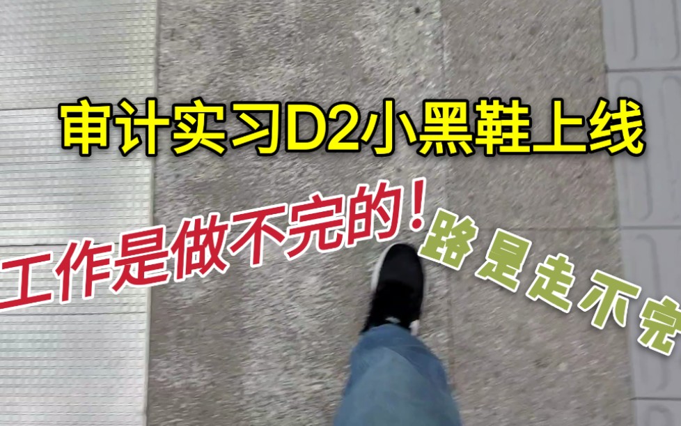 【审计实习D2】面对下午突然增加的工作,我发现工作是做不完的!路是...