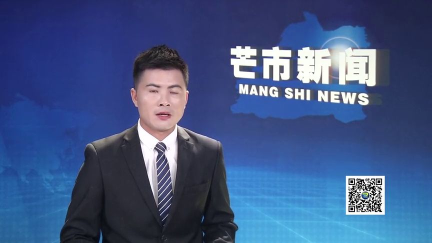 芒市召开第三季度固定资产投资和经济指标分析研判会