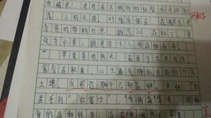 语文提高!说明文的方法和结构详细讲解,掌握阅读和作文都适用
