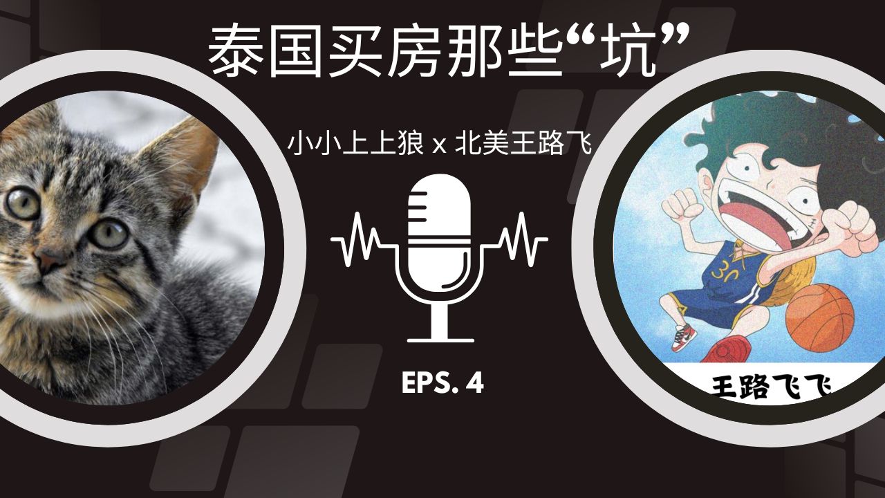 「土家野夫在局面中撒谎?律师亲述:泰国买房那些“坑”与“合法途径...