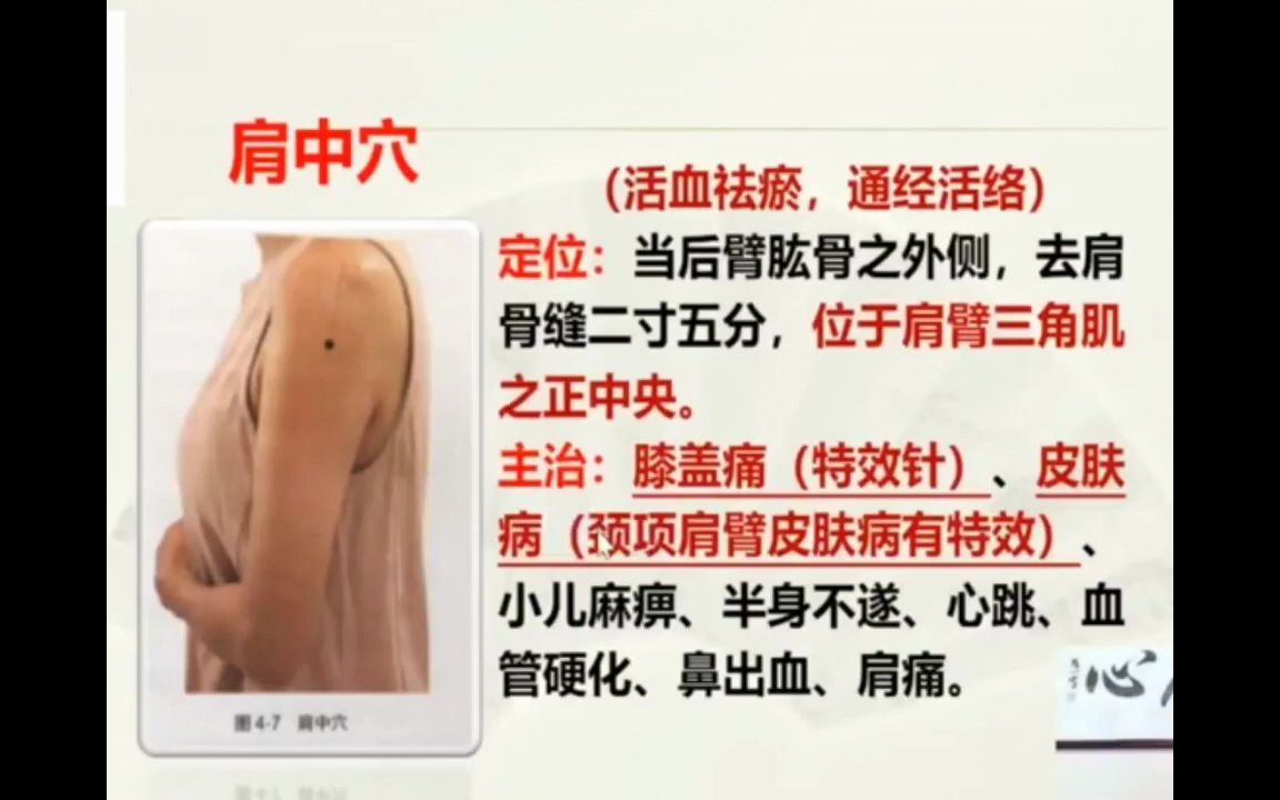 肩中穴 定位 _ 董氏奇穴, 林君