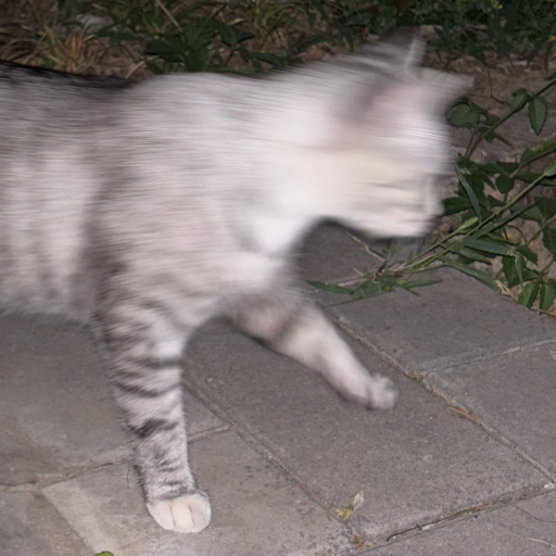 答疑解惑大辉哥 