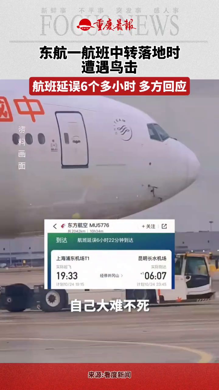 东航一航班中转落地时遭遇鸟击,航班延误6个多小时,多方回应