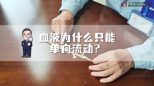 为什么血液只能一个方向流动