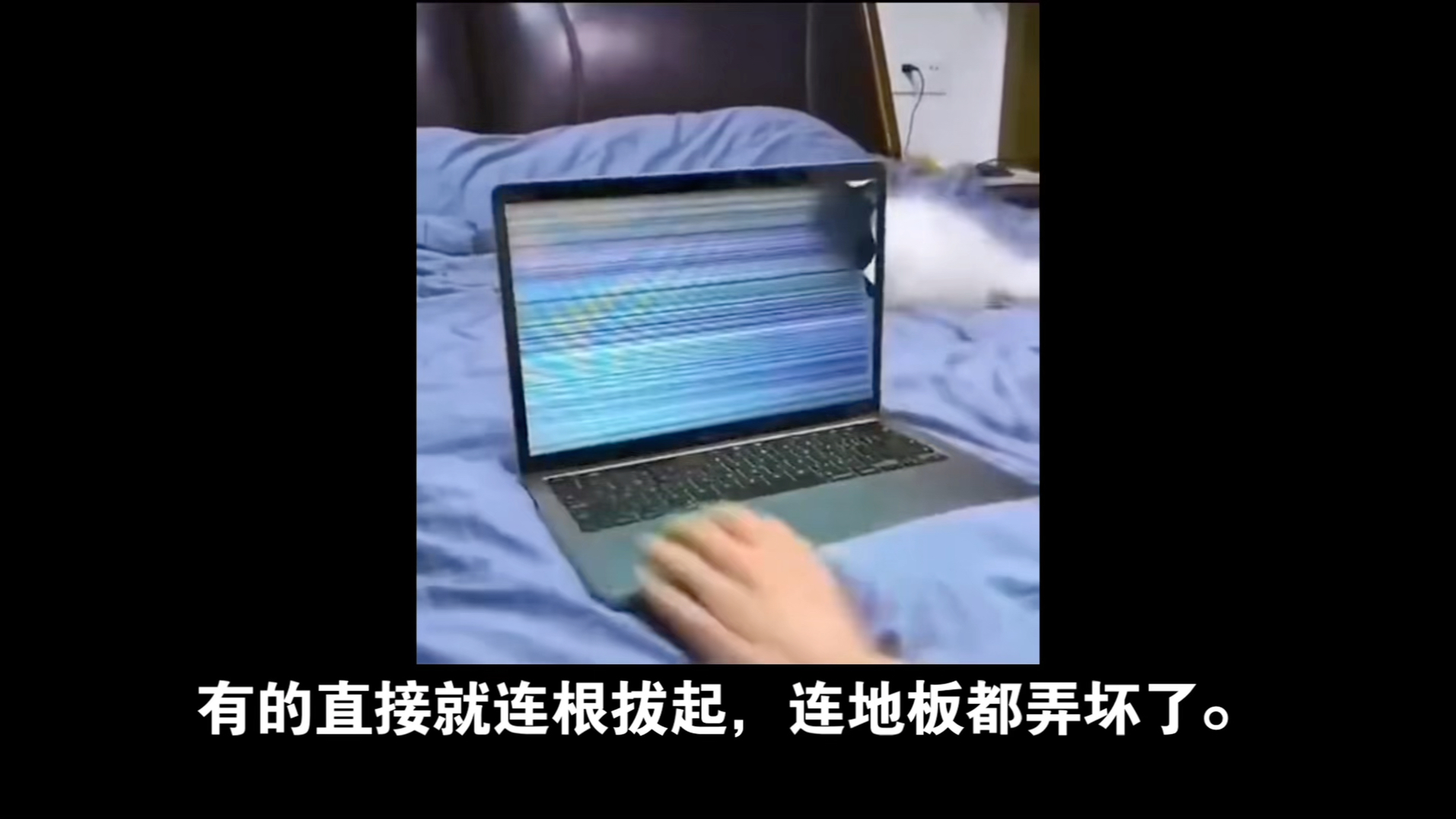 台风后赚钱的行业