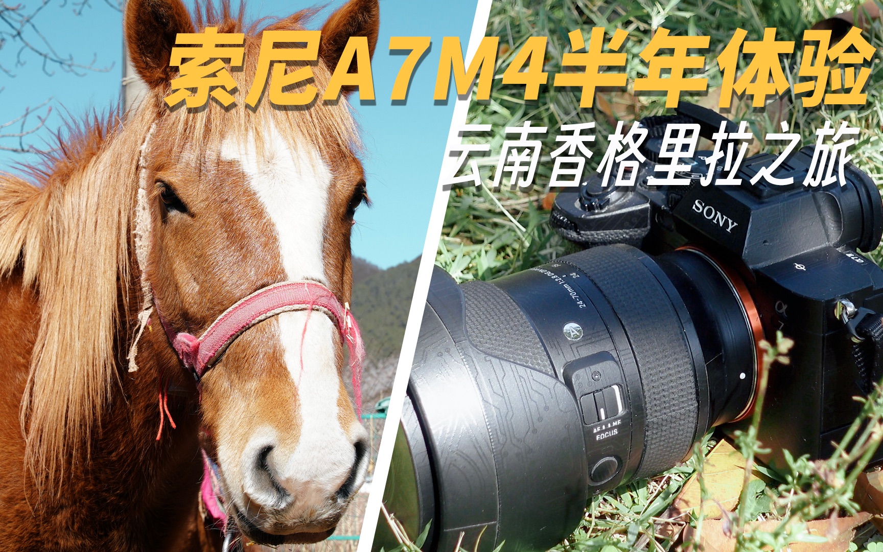 索尼A7M4半年体验:聊聊它的优缺点