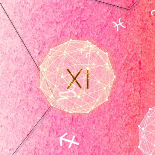 葡萄塔罗的臭屁指南 