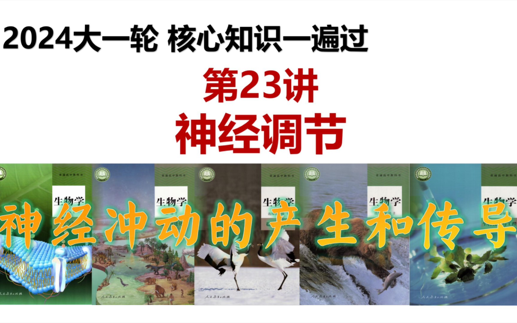 ...讲 神经调节 考点三 神经冲动的产生和传导 ①兴奋在神经纤维上的传导