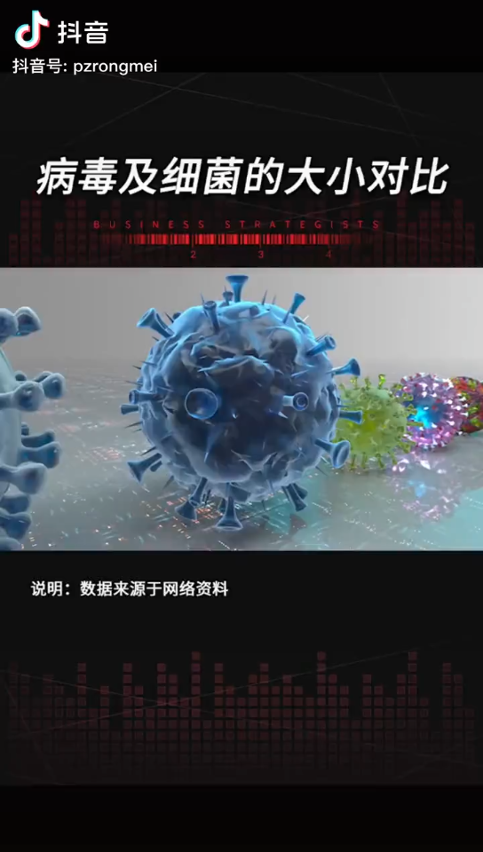 病毒及细菌大小比较