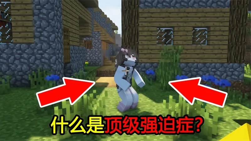 我的世界:什么是顶级强迫症