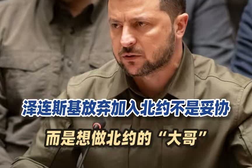 别低估泽连斯基,放弃加入北约不是妥协,而是想做北约的"大哥"