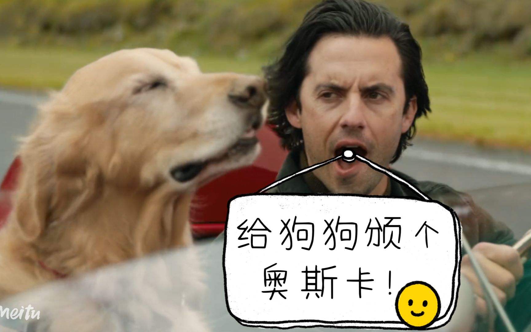 豆瓣8.3,又一部关于狗的催泪片,这只狗真该拿奥斯卡!