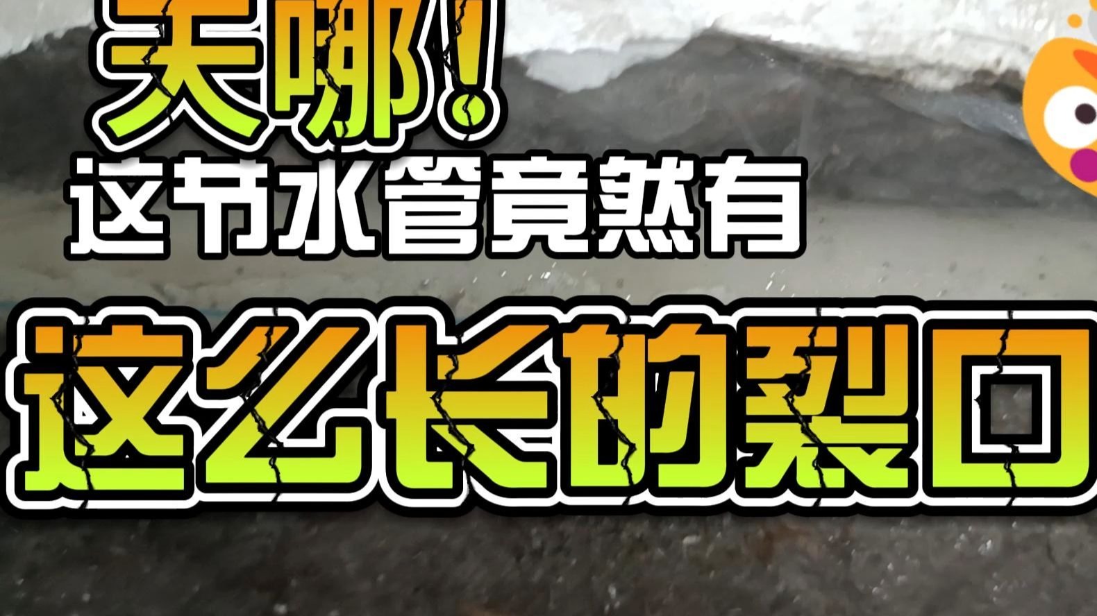 丰富的经验+专业仪器检测,精准定位就是这么简单