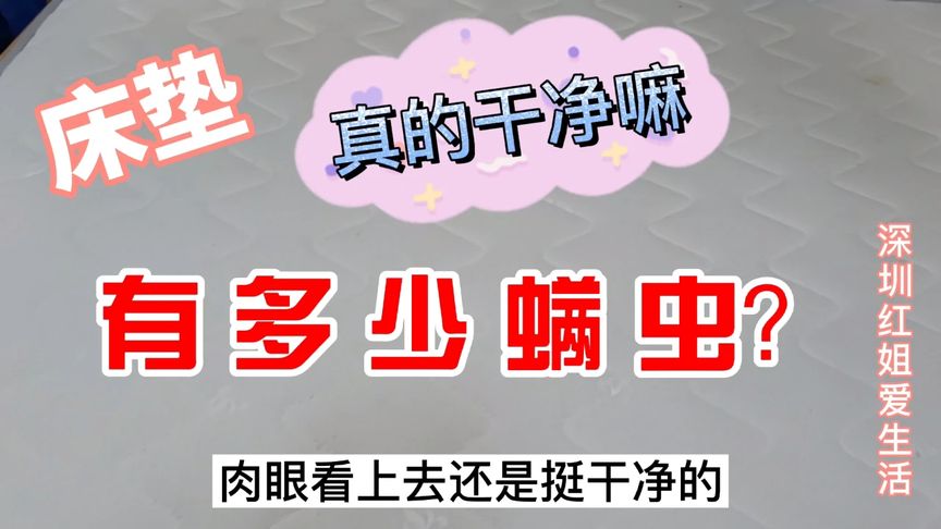 保洁阿姨用除螨仪清除床垫上的螨虫!好多呀!太吓人!