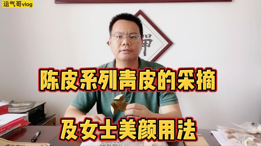 新会陈皮系列之青皮,青皮的采摘以及使用效果,及女士美颜用法