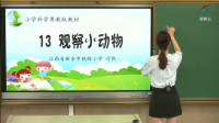 一年级科学(粤教版)《13.观察小动物》