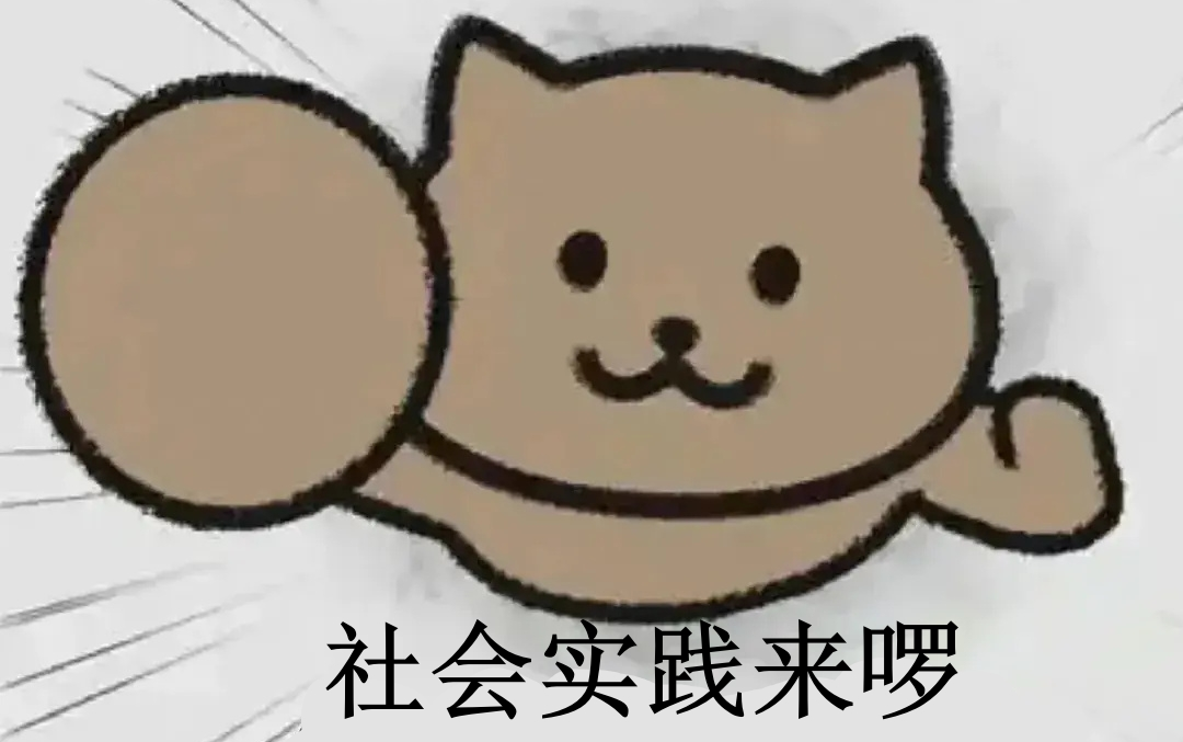 社会实践成果合集