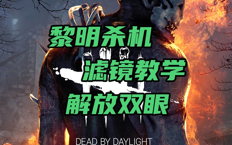 黎明杀机N卡滤镜教学