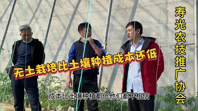 这是真的!!无土栽培比土壤种植成本还低,不信的欢迎来考察