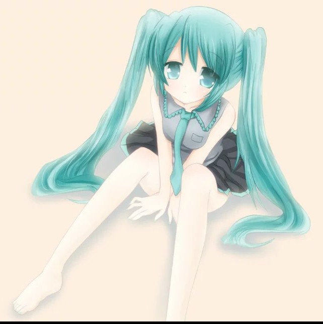 初音爱玩飞车 