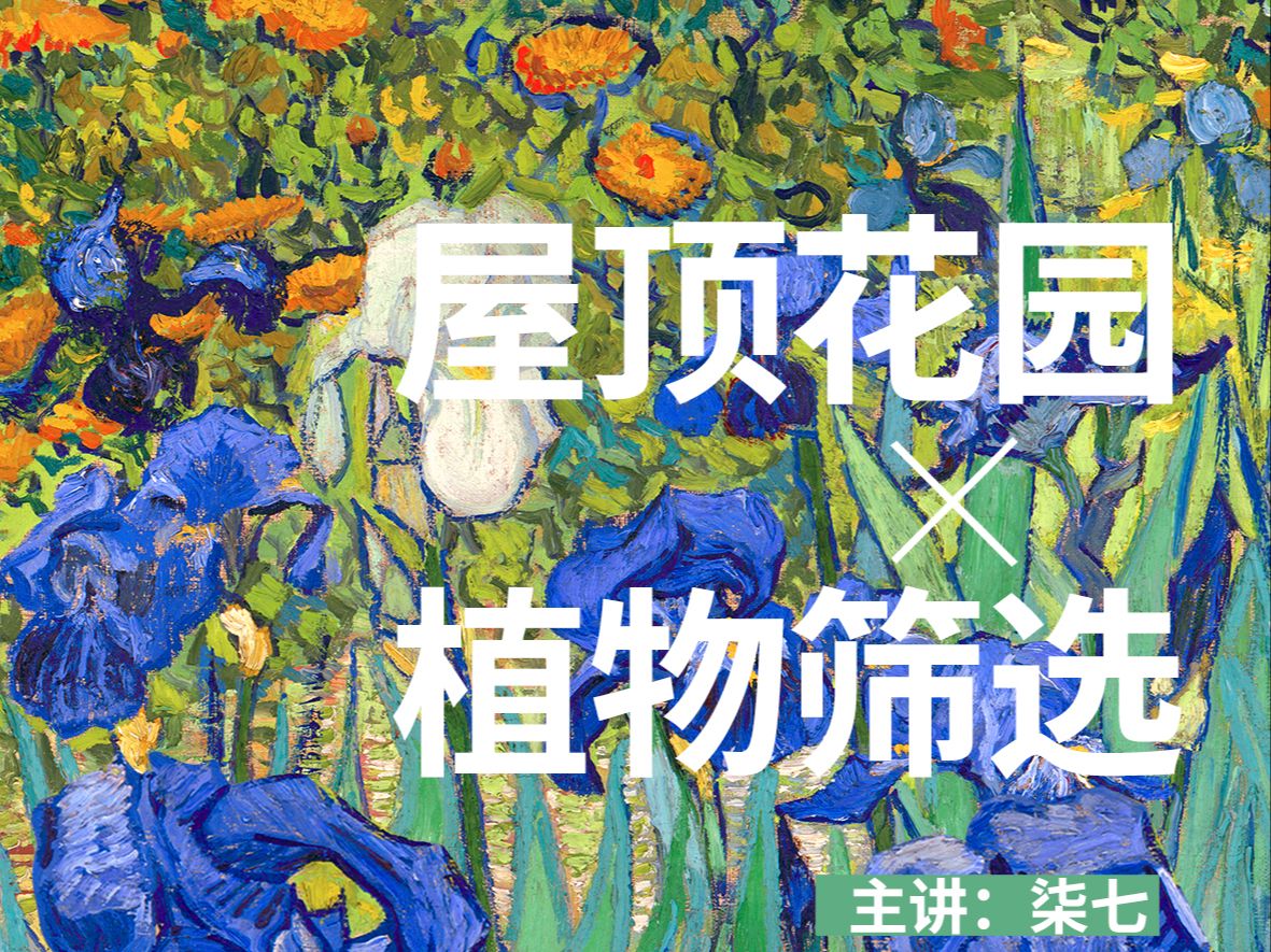 屋顶花园绿化及植物营造