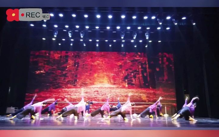 一等奖少儿舞蹈《风的季节》简单易学,超级简单