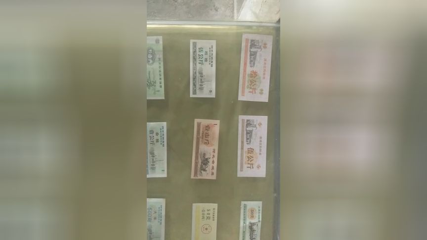 给你们看看那时候的粮票,肯定很多人都没有看过