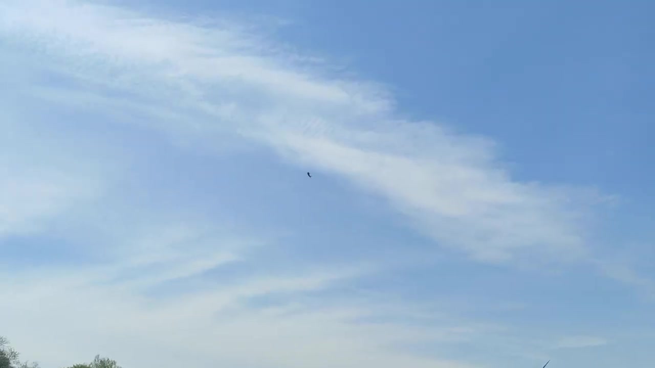 ...F35B 3D 打印 VTOL RC 喷气模型 世界上第一个过渡打印 F35 模型"