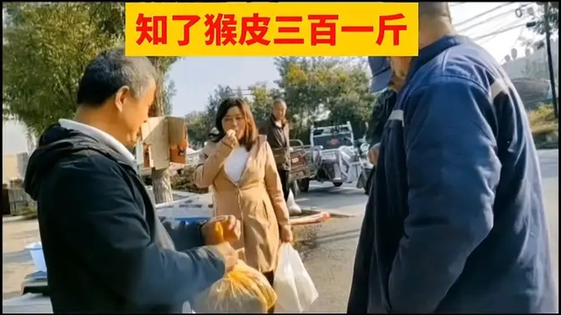 自驾行驶在唐县乡村道上,大姐纳鞋底赚钱,收知了猴皮三百一斤