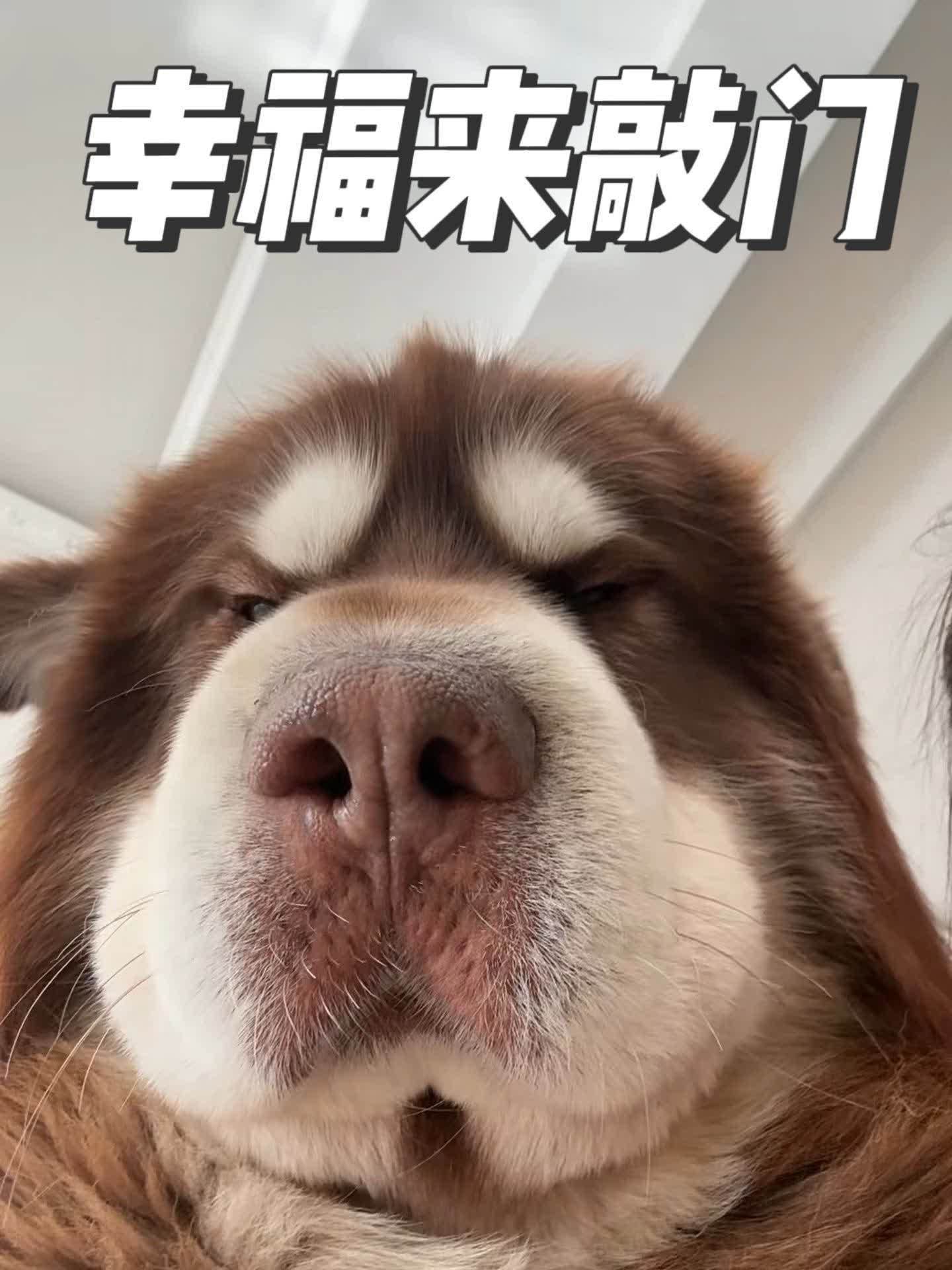 不上班在家翻垃圾桶