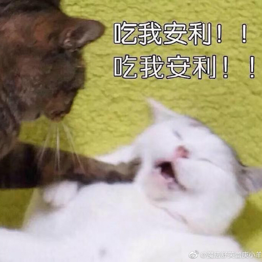 中杯美式不加糖 