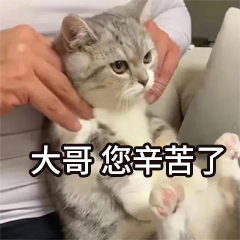 哦叶绿体 
