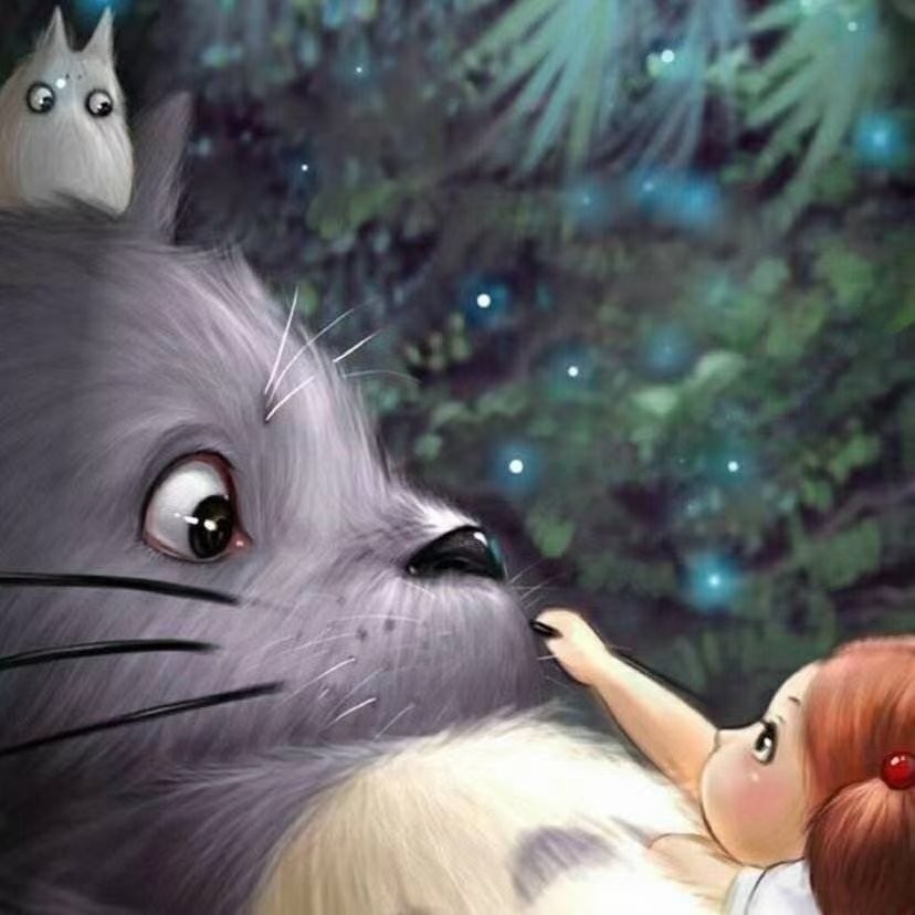 龙猫DaDa 