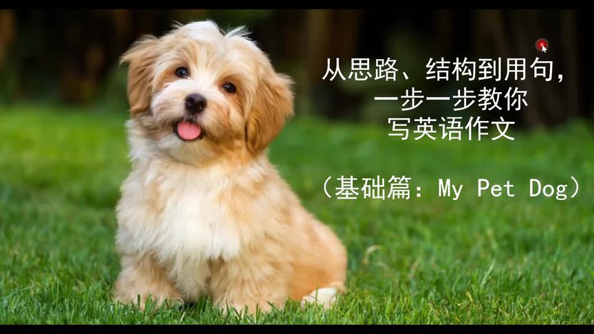 一起学英语:如何写出好的英语作文?中学生英语作文方法与技巧。