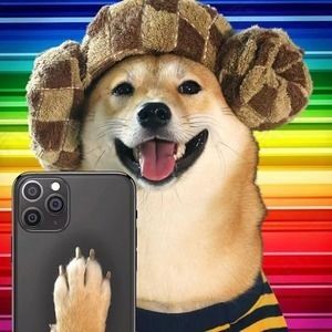 是哆哆同学 