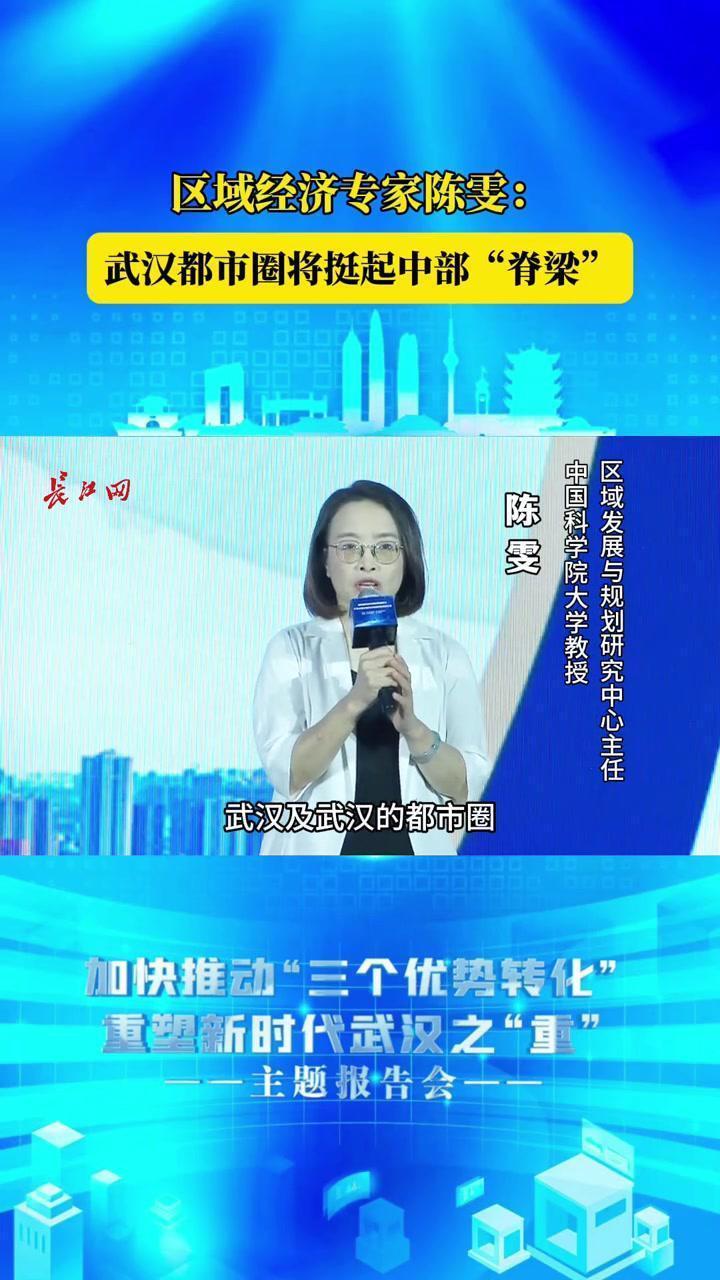 ...中国科学院大学教授、区域发展与规划研究中心主任陈雯表示,武汉都...
