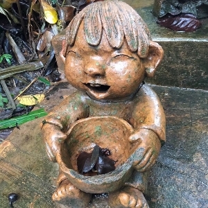 风云新途讲history 