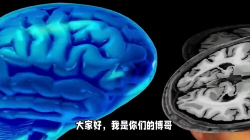 为啥自己挠痒痒没感觉,别人一碰就疯狂想笑?看完涨知识了